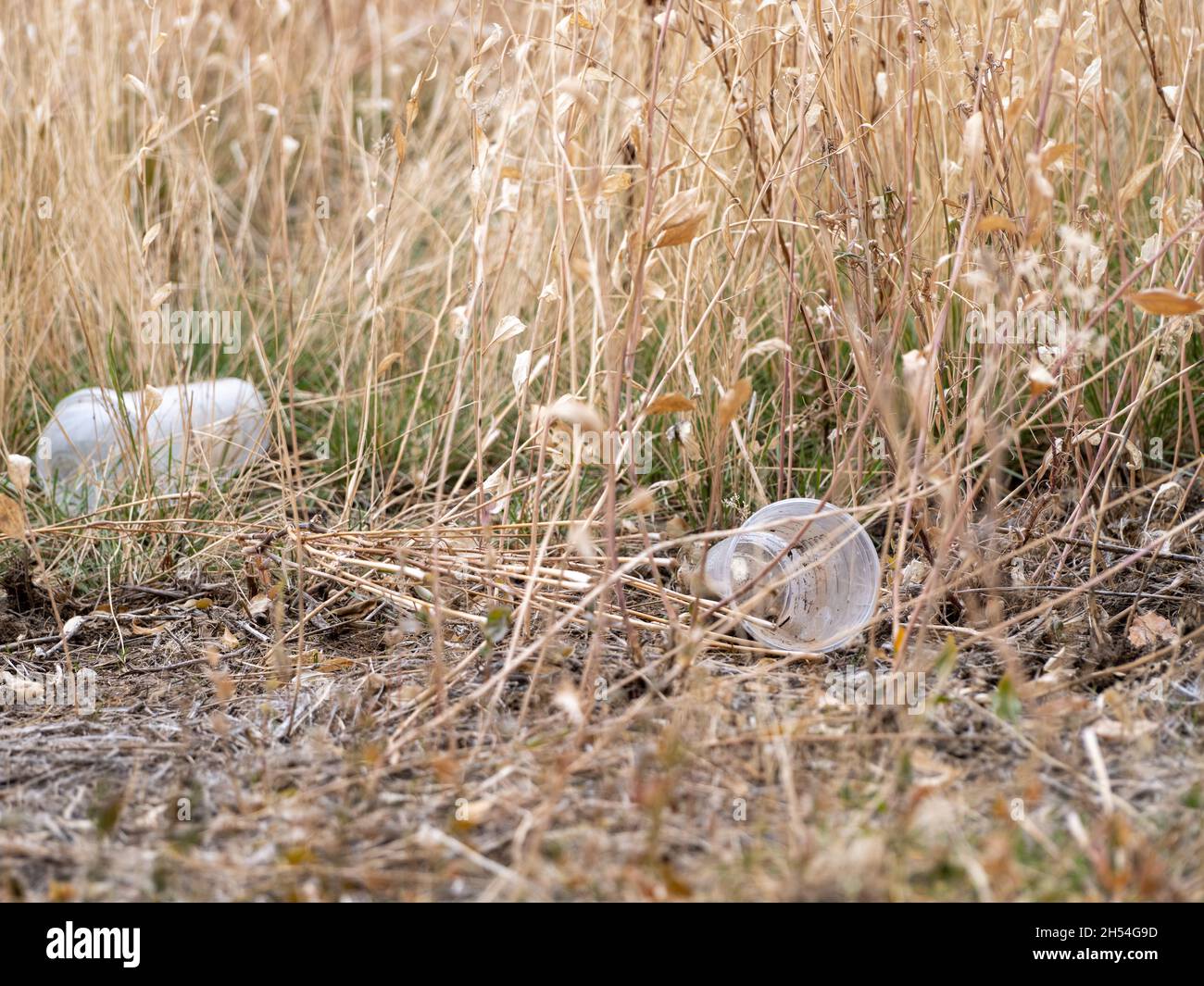Plastic lake pollution hi-res stock photography and images - Alamy