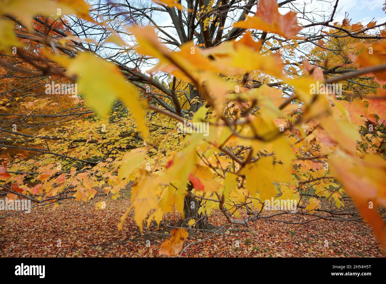 Season of change Fall Stock Photo - Alamy