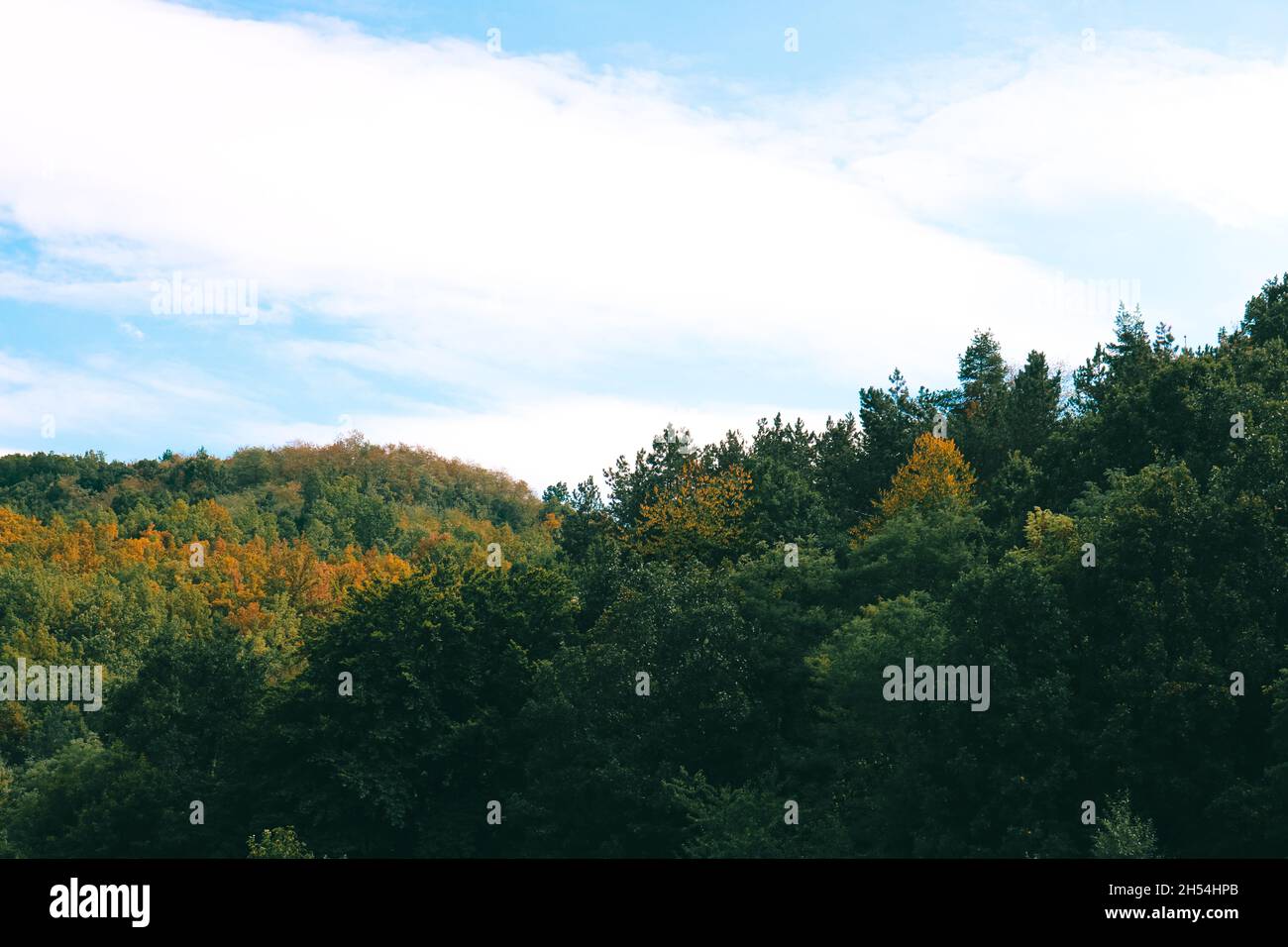 Hills green plants hi-res stock photography and images - Alamy