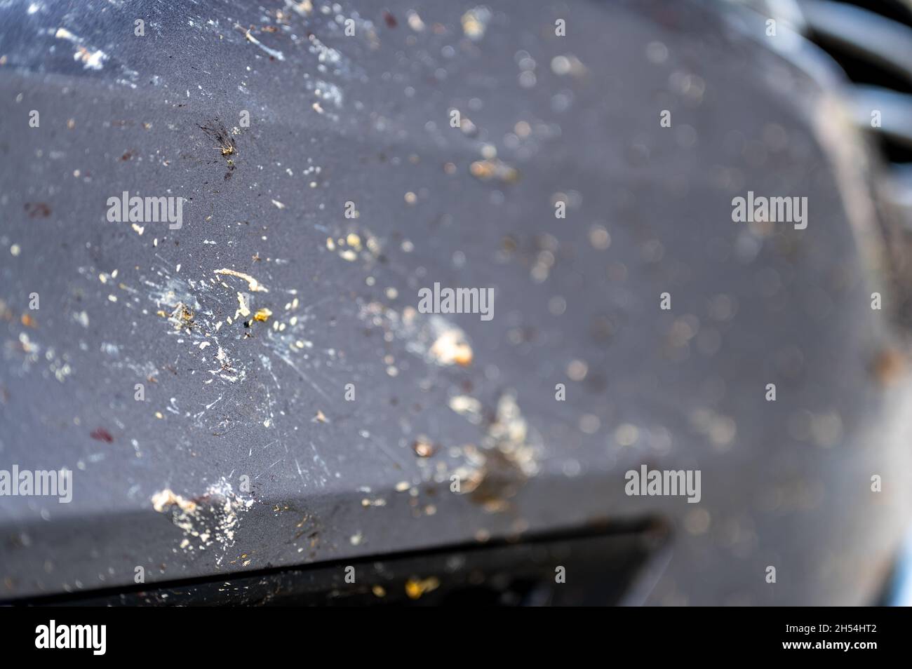 Selective focus on dead bugs splattered to the front grill and plates ...