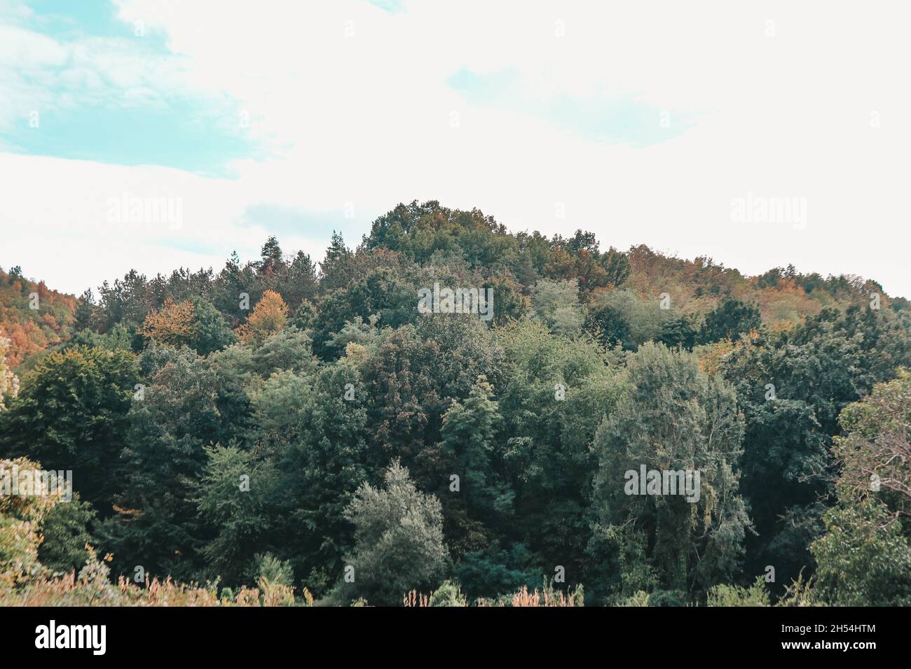 Hills green plants hi-res stock photography and images - Alamy