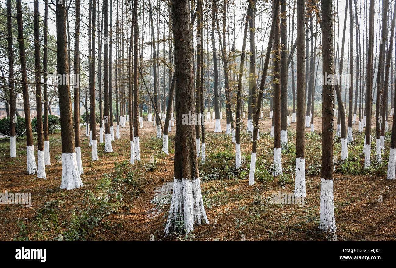 Travel uniform hi-res stock photography and images - Alamy