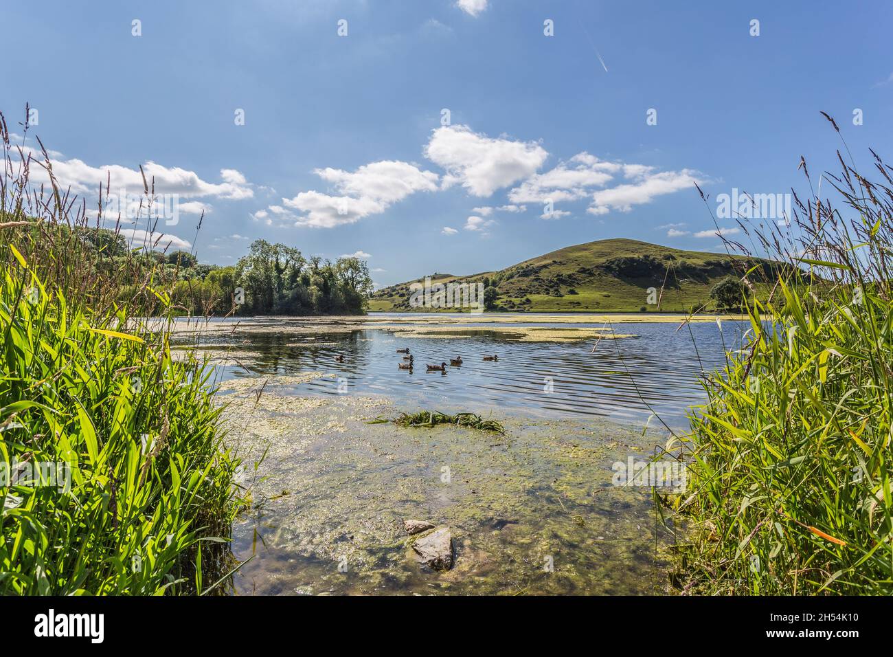 Lough Gur Limerick Ireland Stock Photo - Alamy
