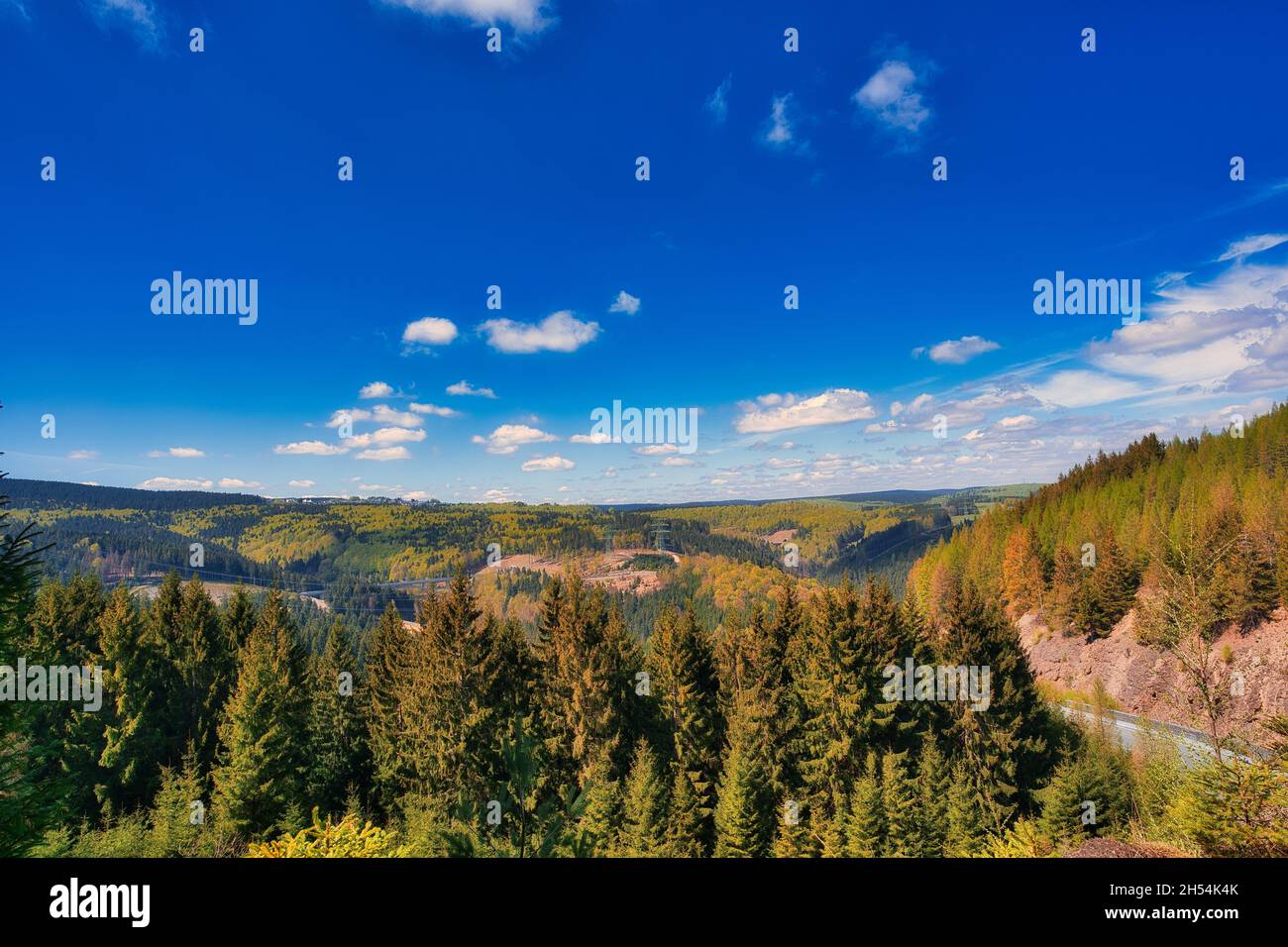 Beautiful view from the top to many trees in the forest. Great for ...
