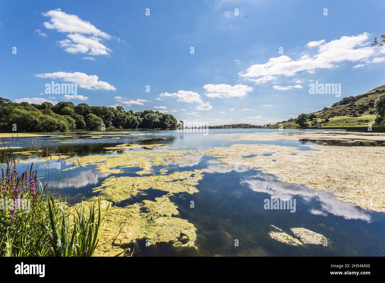 Lough Gur in Limerick, Ireland Stock Photo - Alamy