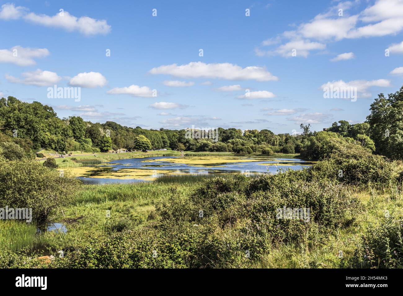 Irishscenery hi-res stock photography and images - Alamy