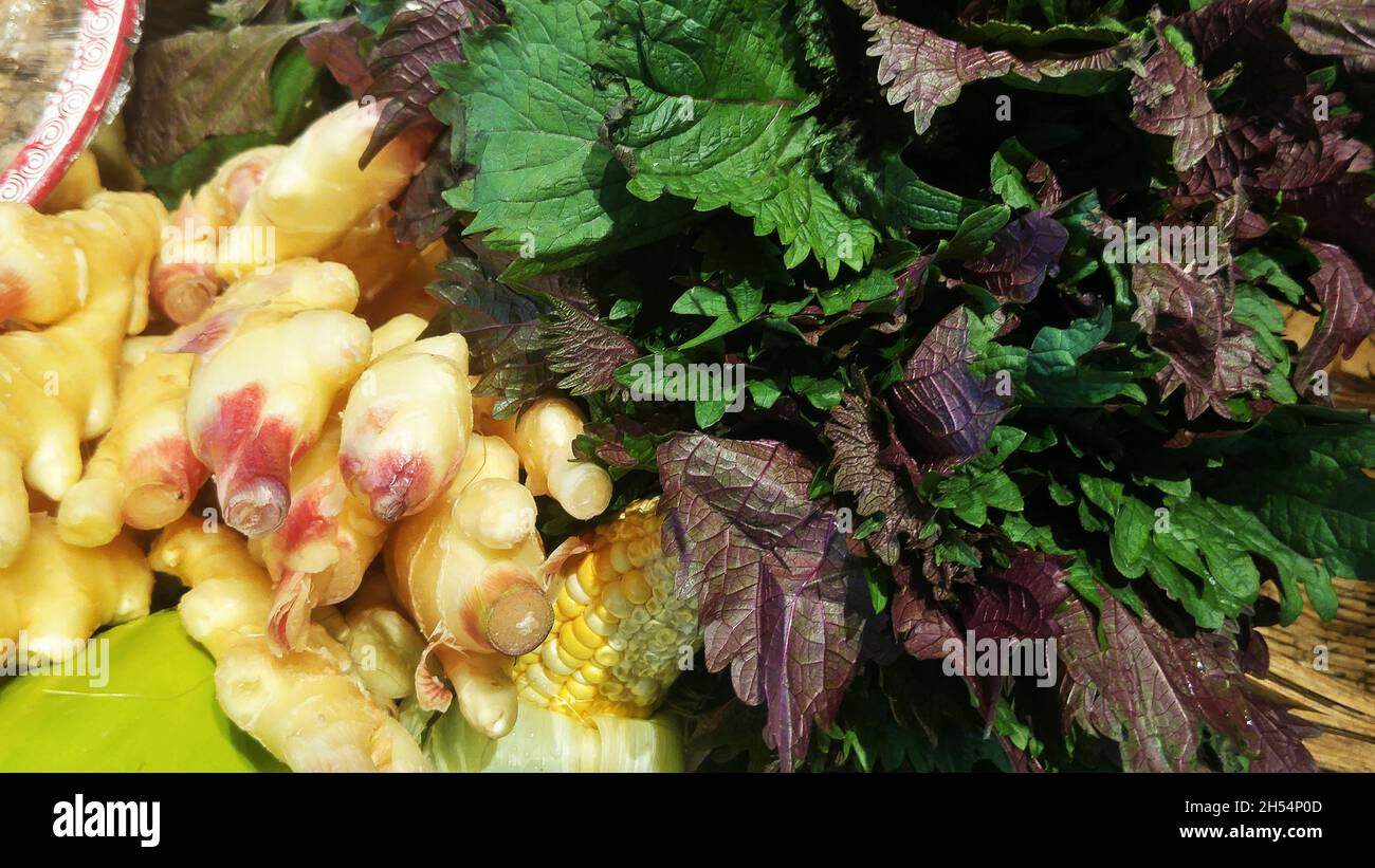 Ginger, white radish, perilla and other vegetables Stock Photo - Alamy