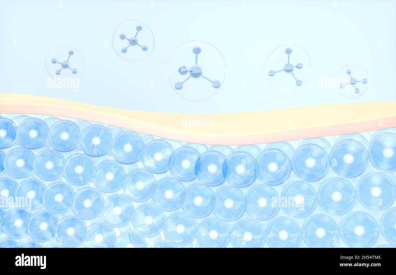 Skin cells absorb the molecule, 3d rendering. Computer digital drawing ...