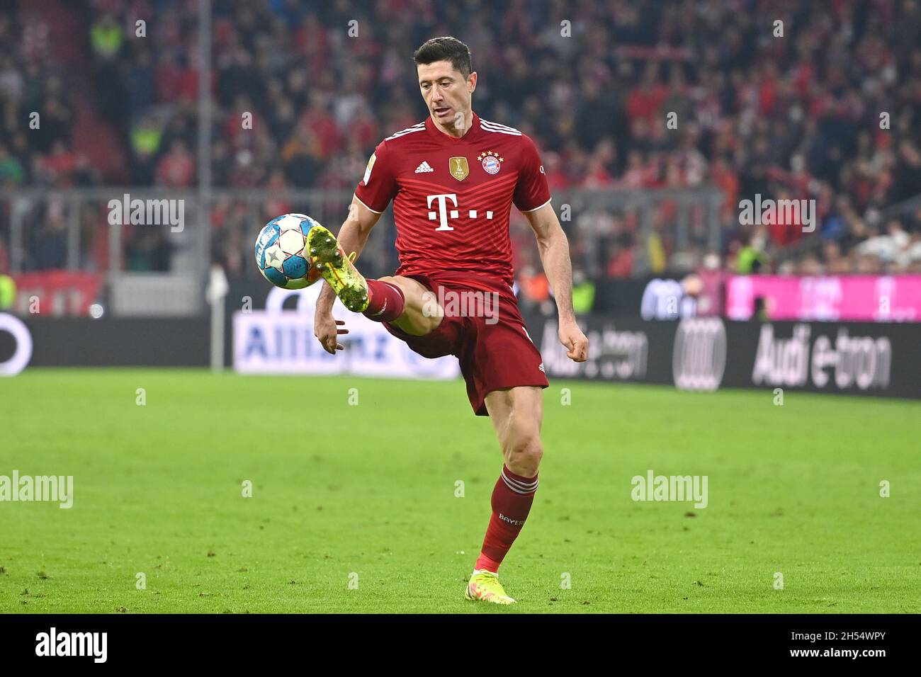 Lewandowski body hi-res stock photography and images - Alamy
