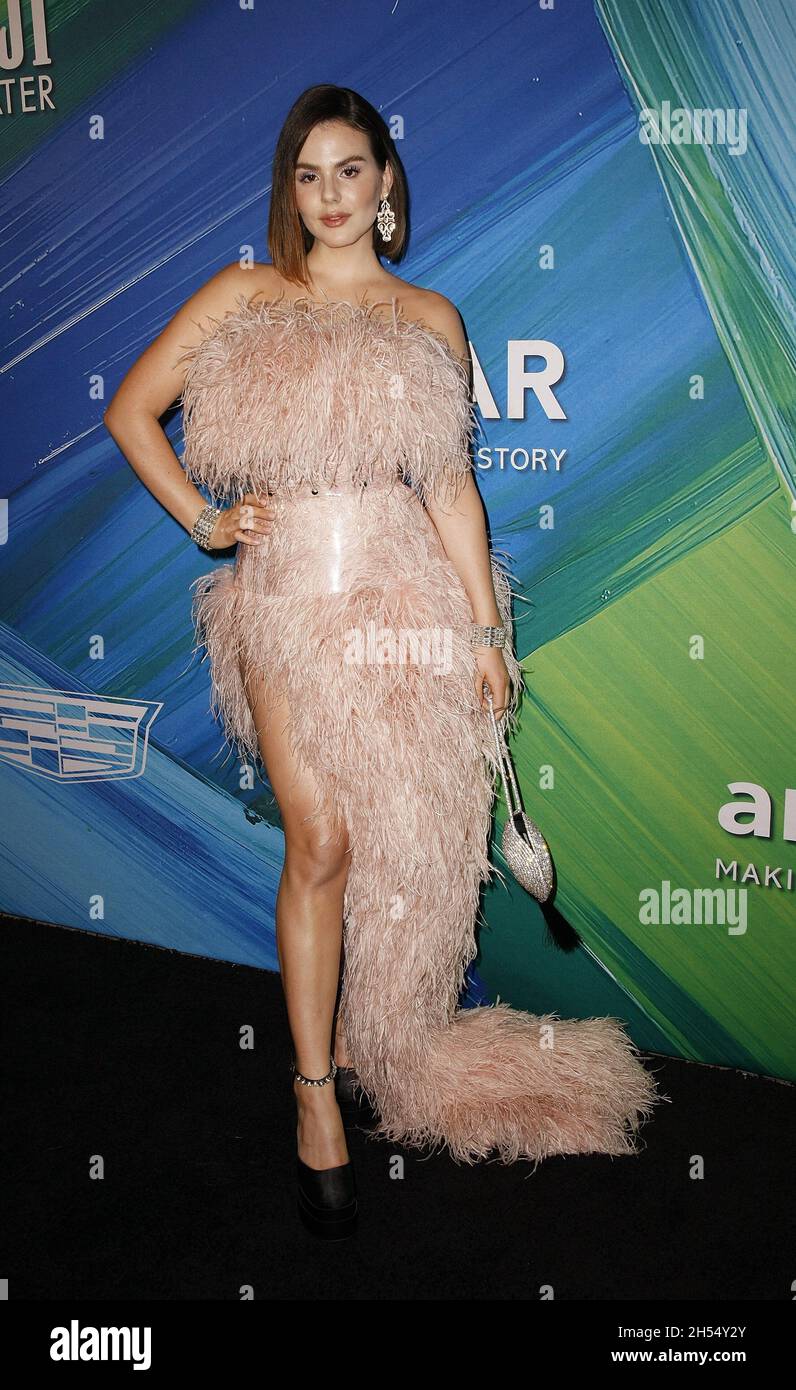 WEST HOLLYWOOD, CALIFORNIA - NOVEMBER 04: Ruby O.Fee attends the amfAR ...