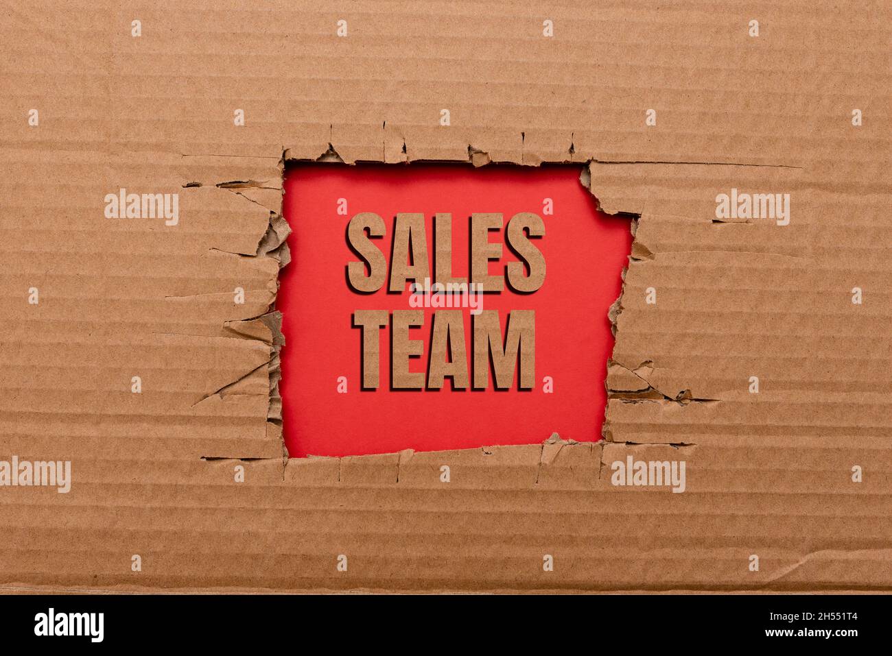 Conceptual caption Sales Team. Business idea they are responsible for ...