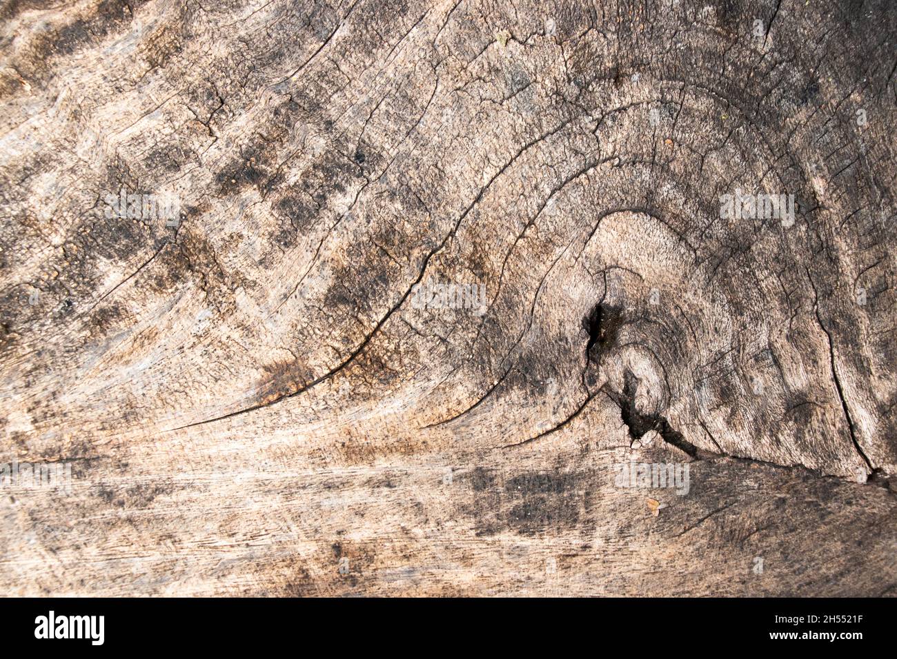 Rough cracked wood plate texture background Stock Photo - Alamy