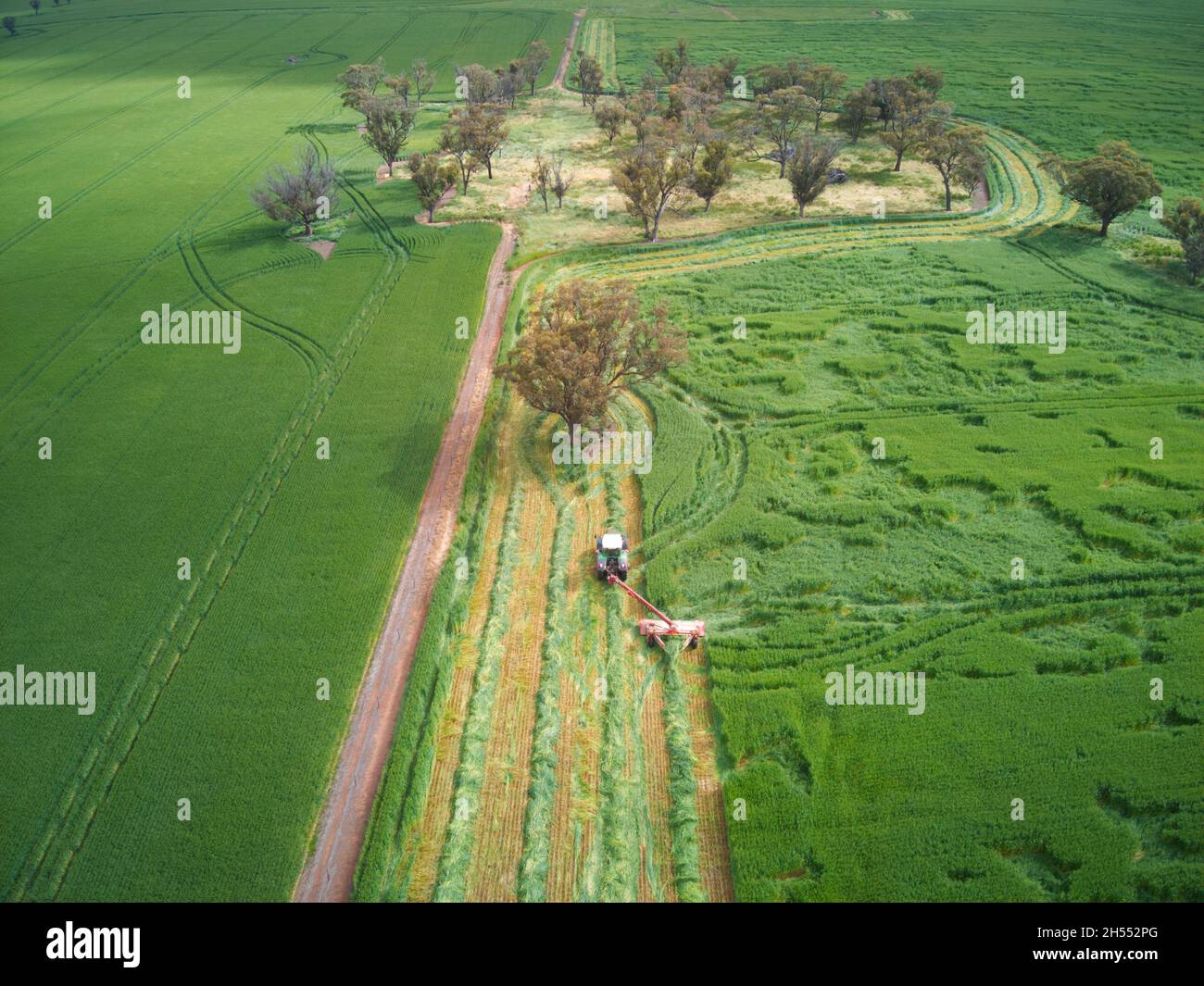 Tractor aerial view with background patterns, cutting oaten hay ...