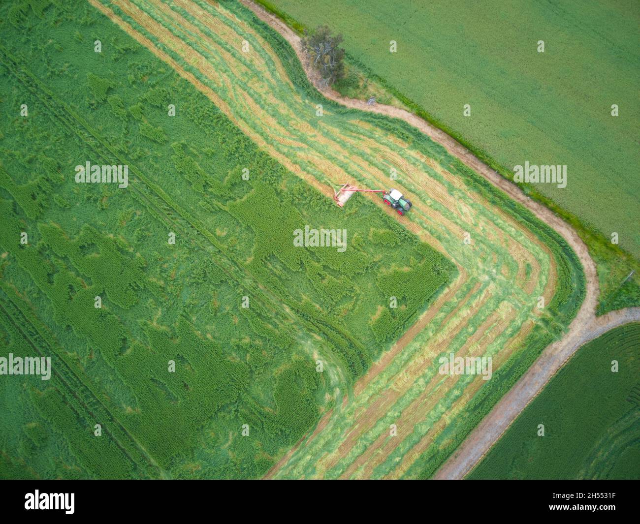 Tractor aerial view showing a Fendt tractor cutting oaten hay and ...