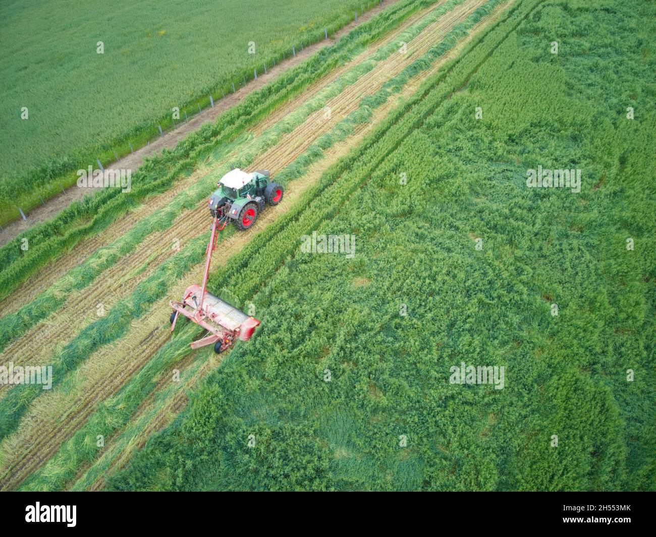 Modern tractor in field side view cutting oaten hay with green paddocks ...