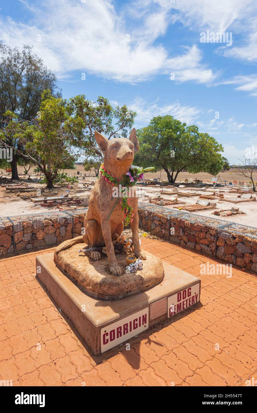 Dog cemetery hi-res stock photography and images - Alamy
