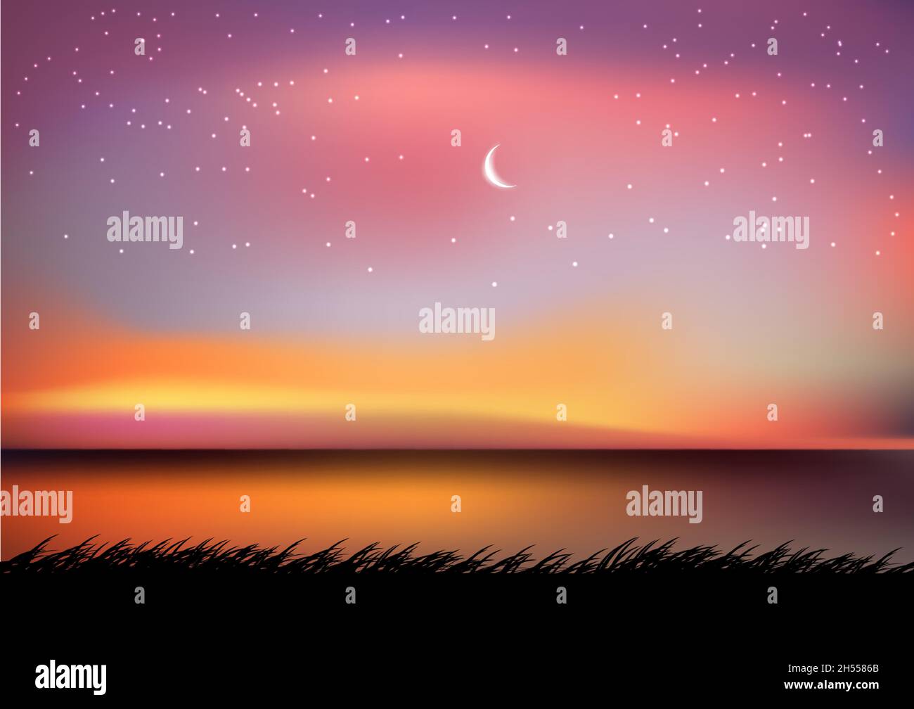 Night Nature Drawing Wallpaper