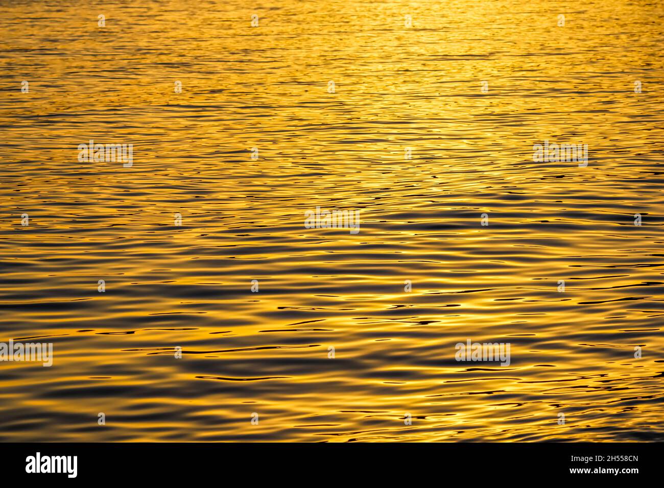 Golden sea waves in sunset glow as surface background. Summer holidays ...