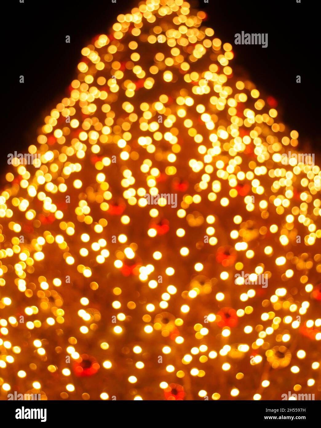Lighted up tree hi-res stock photography and images - Alamy