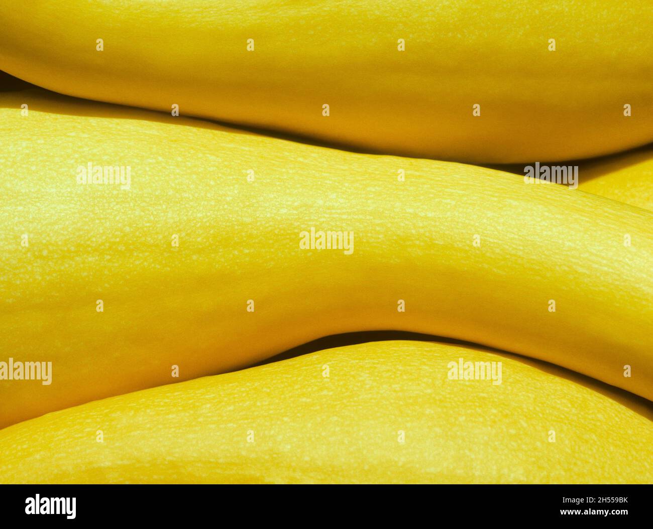 Yellow squash hi-res stock photography and images - Alamy