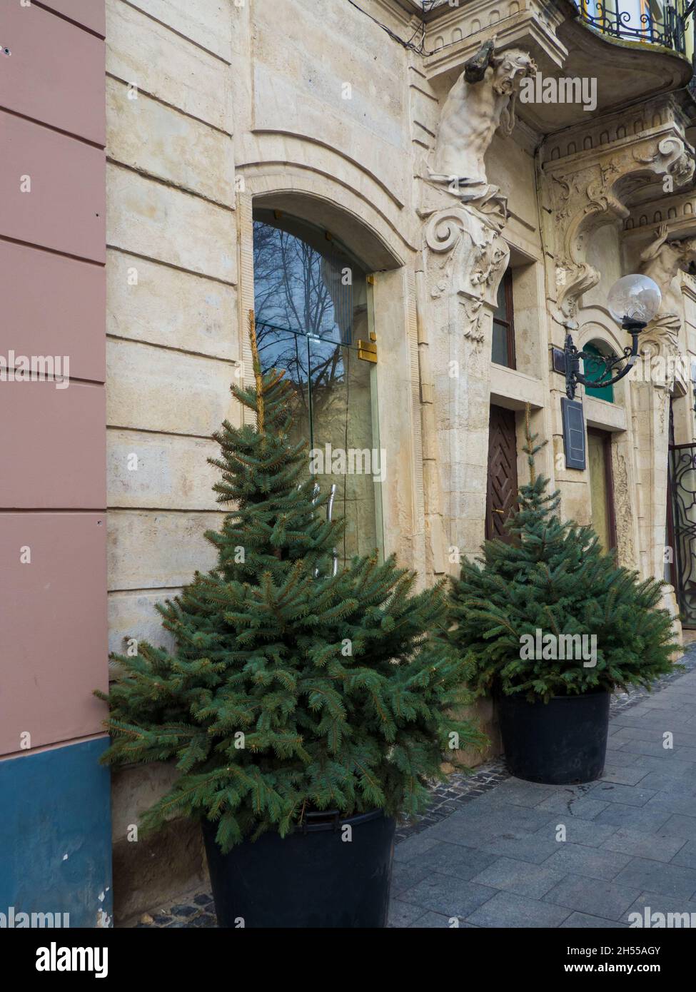 Two fir trees hi-res stock photography and images - Alamy