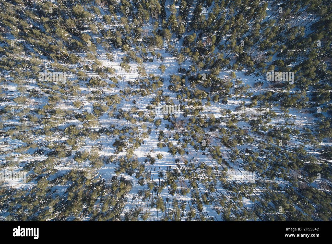 High top view hi-res stock photography and images - Alamy