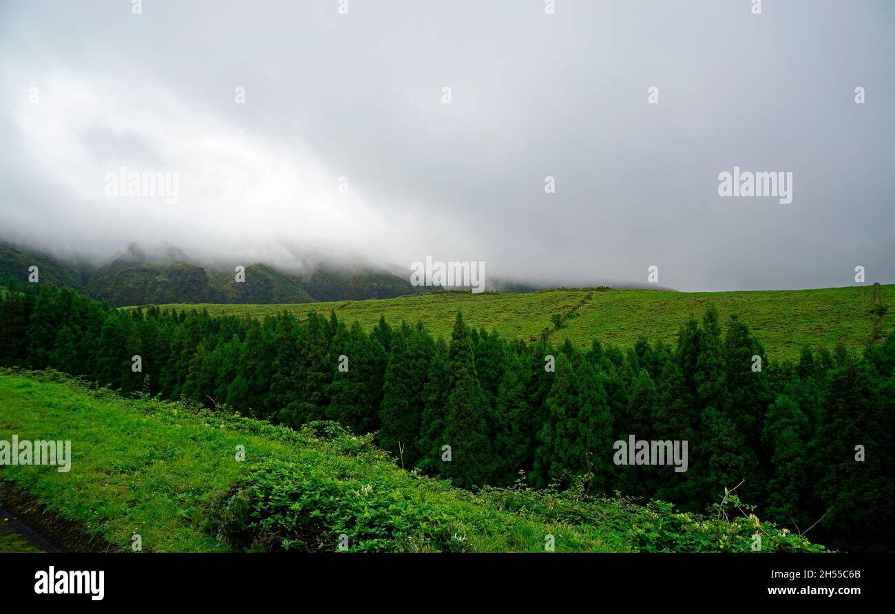 green farmland on the azores islands Stock Photo - Alamy