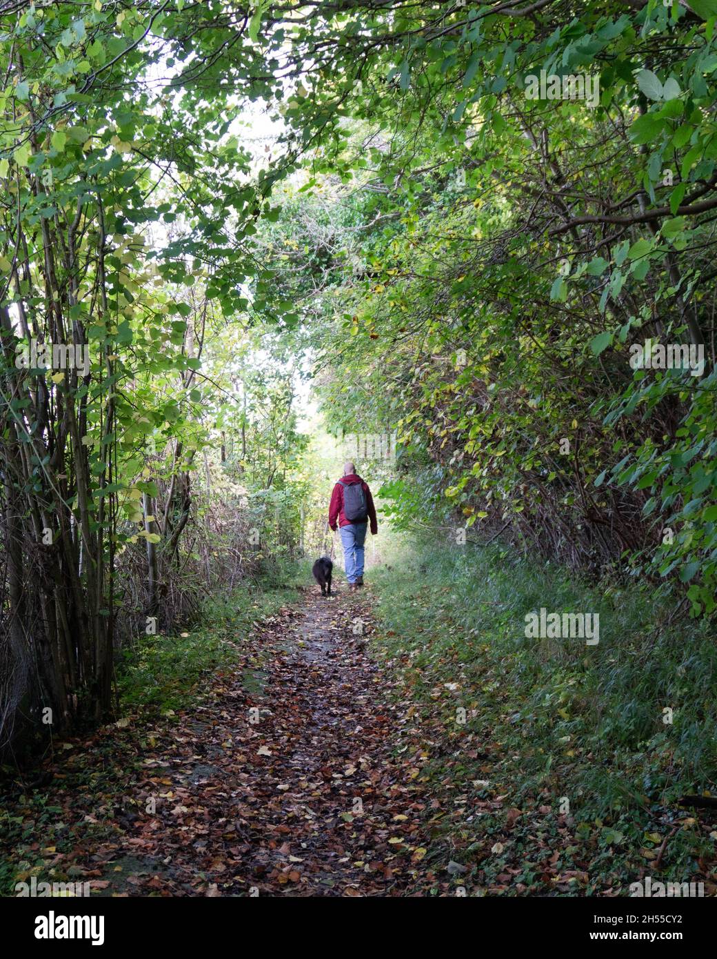 Autumn walk in Sundon Country Park Stock Photo - Alamy