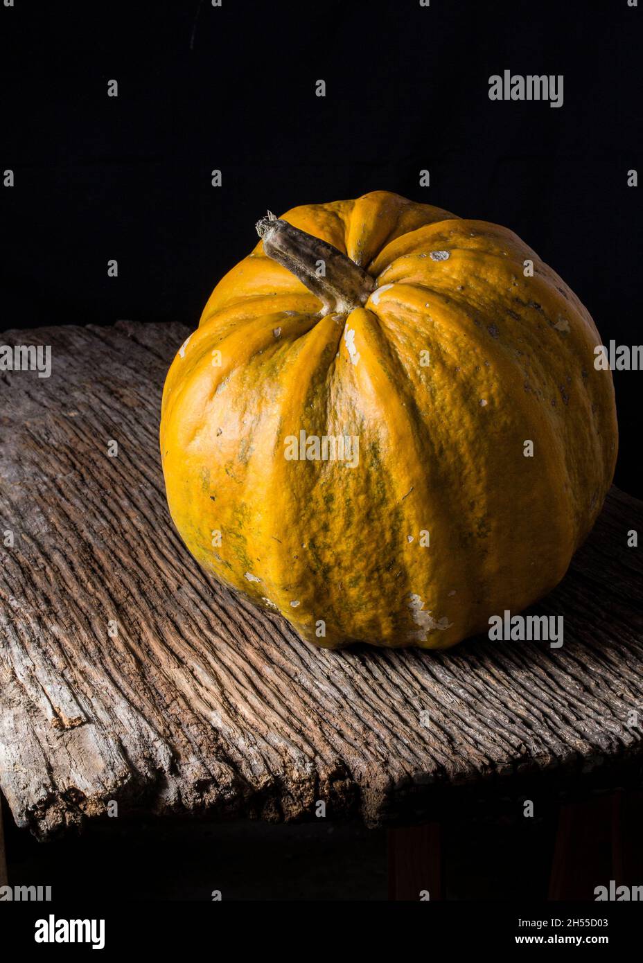 A pumpkin on a wooden base, studio photography. vertical position. copy ...