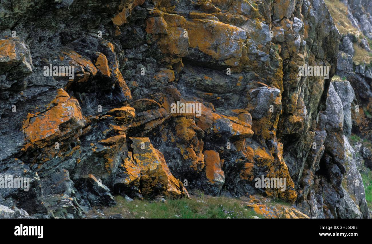 Close up on colorful peridotite. Analog. A dense, coarse-grained. It is ...