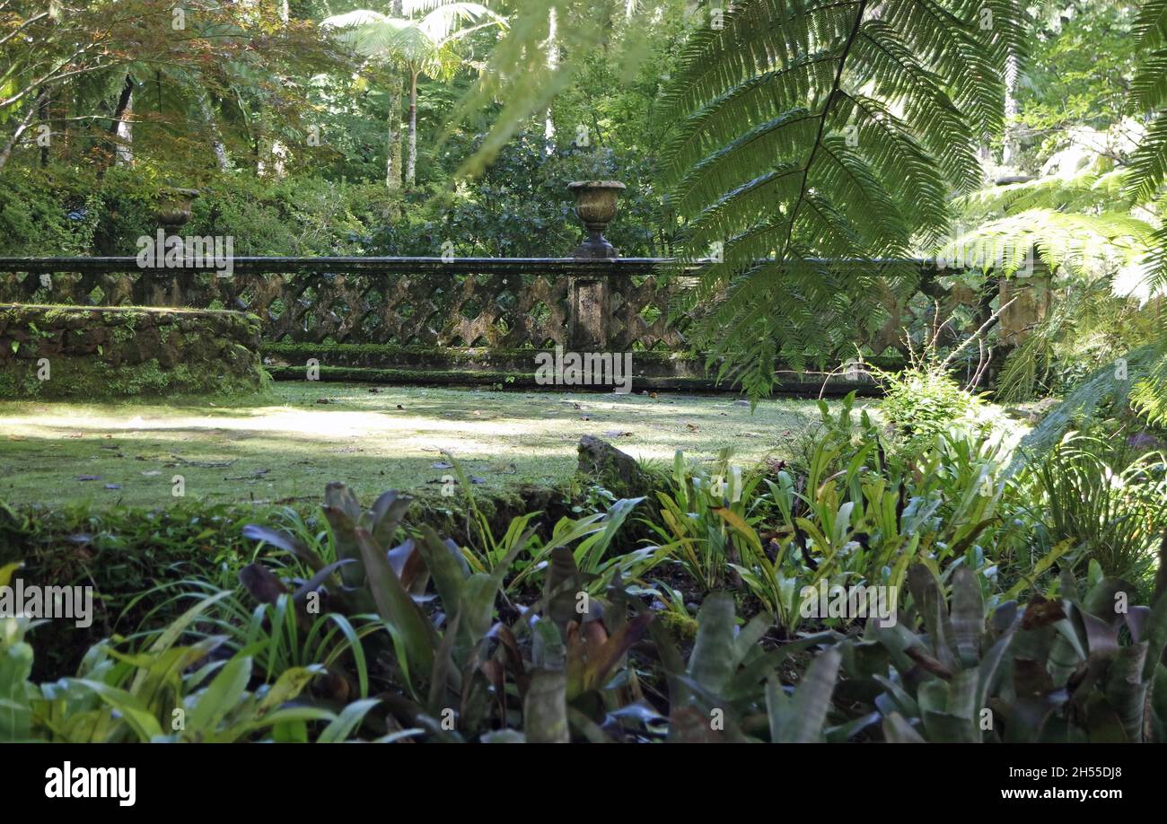 old overgrown bridge railing on sao miguel island Stock Photo - Alamy