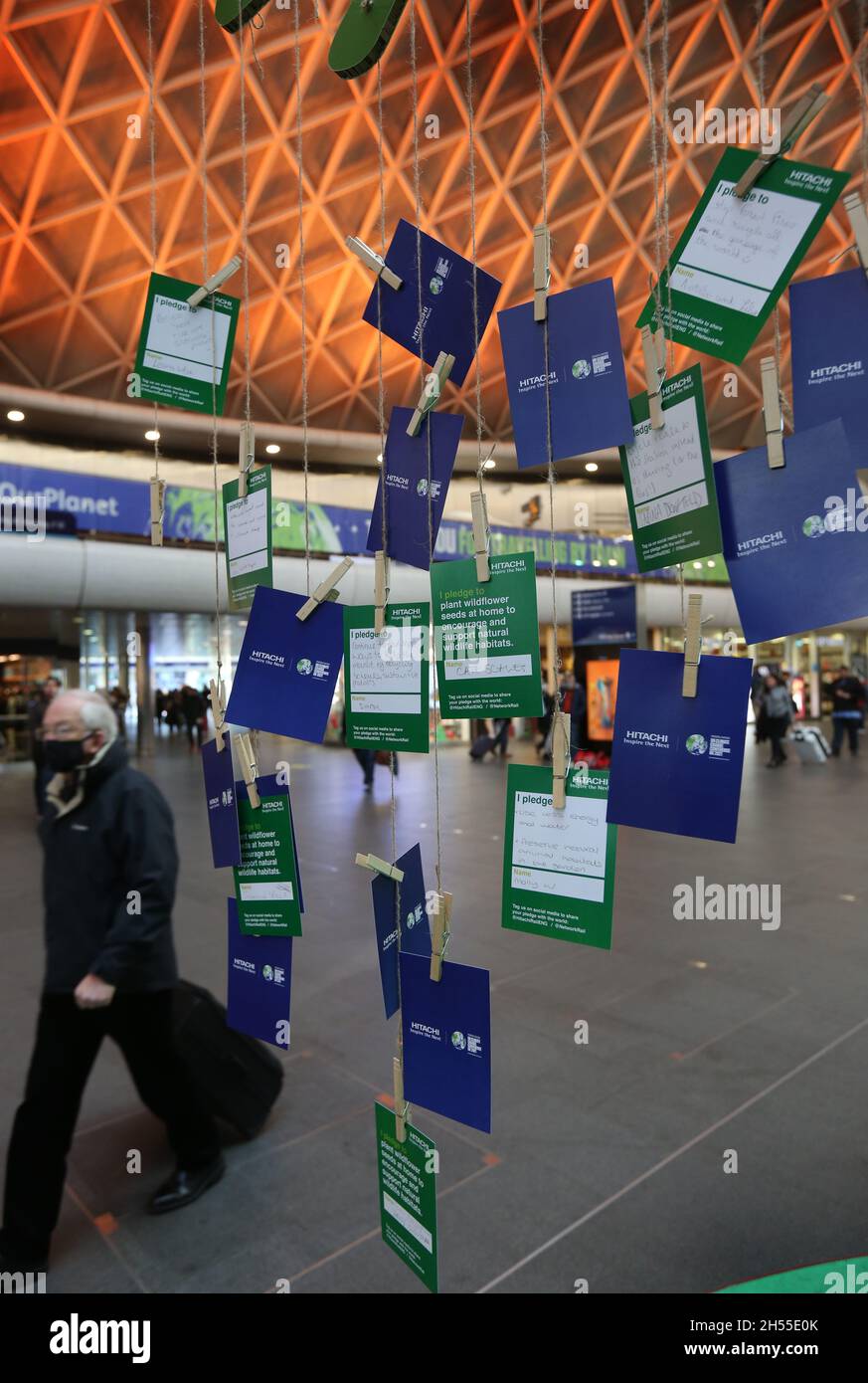 Pegged pledges hang on the branches of the climate change tree as the ...