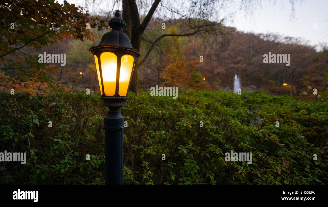 Lamp fall hi-res stock photography and images - Alamy