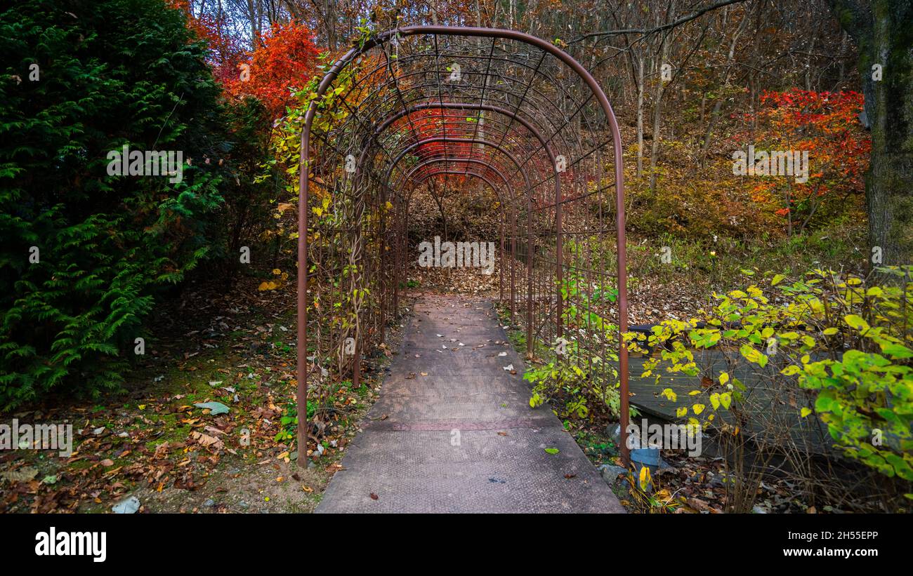 Rounded gate hi-res stock photography and images - Alamy
