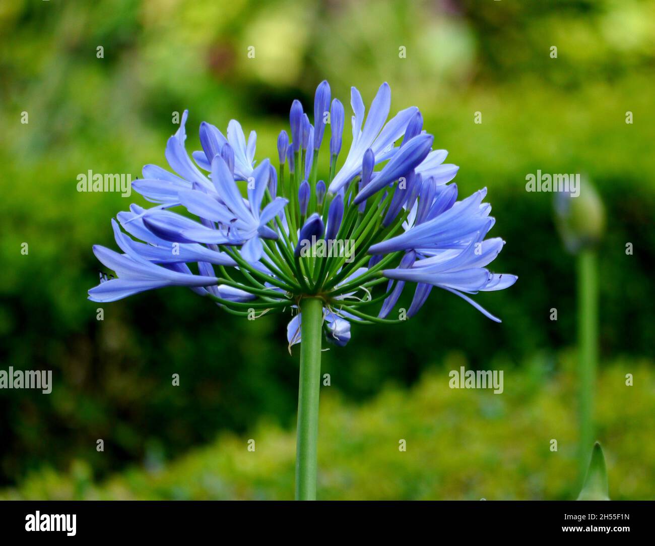 African mansion hi-res stock photography and images - Alamy