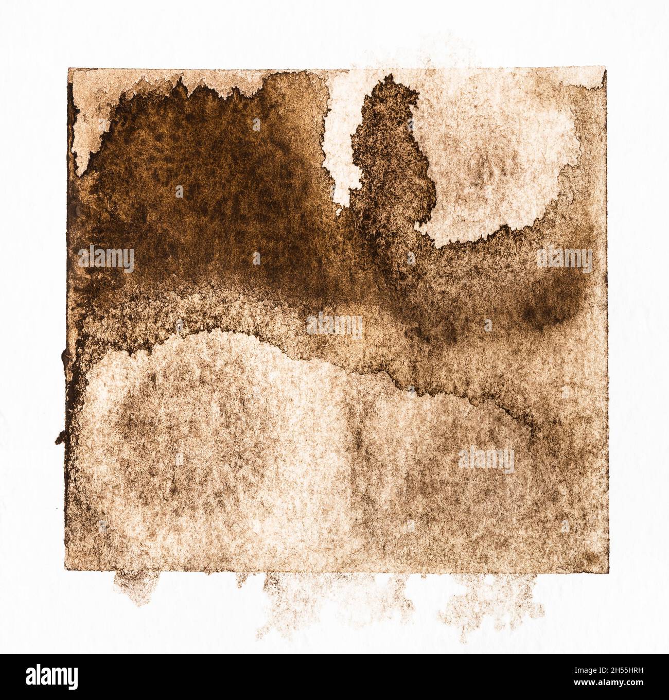 example of aquarelle painting technique hand-drawn in sepia colour on ...