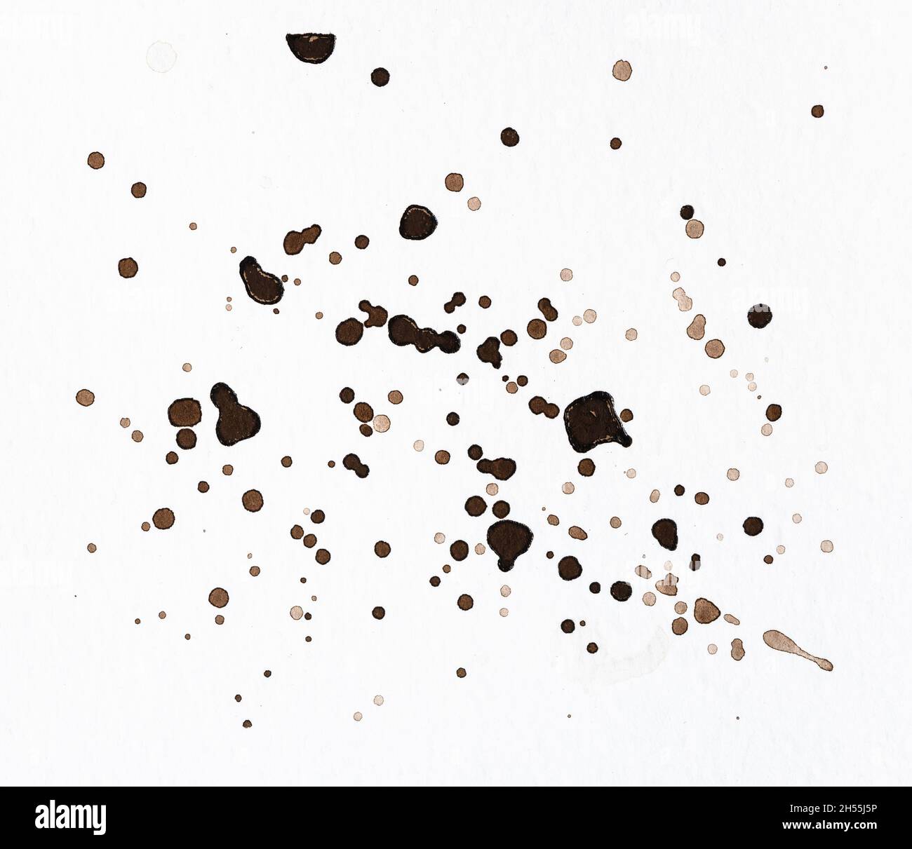 example of aquarelle painting technique hand-drawn in sepia colour on ...