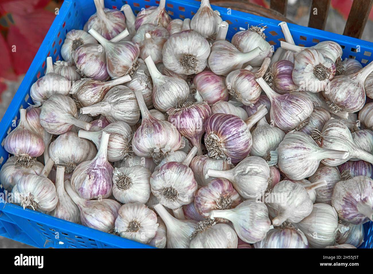 Garlic, food background. Garlic heads are on display, ready for sale ...