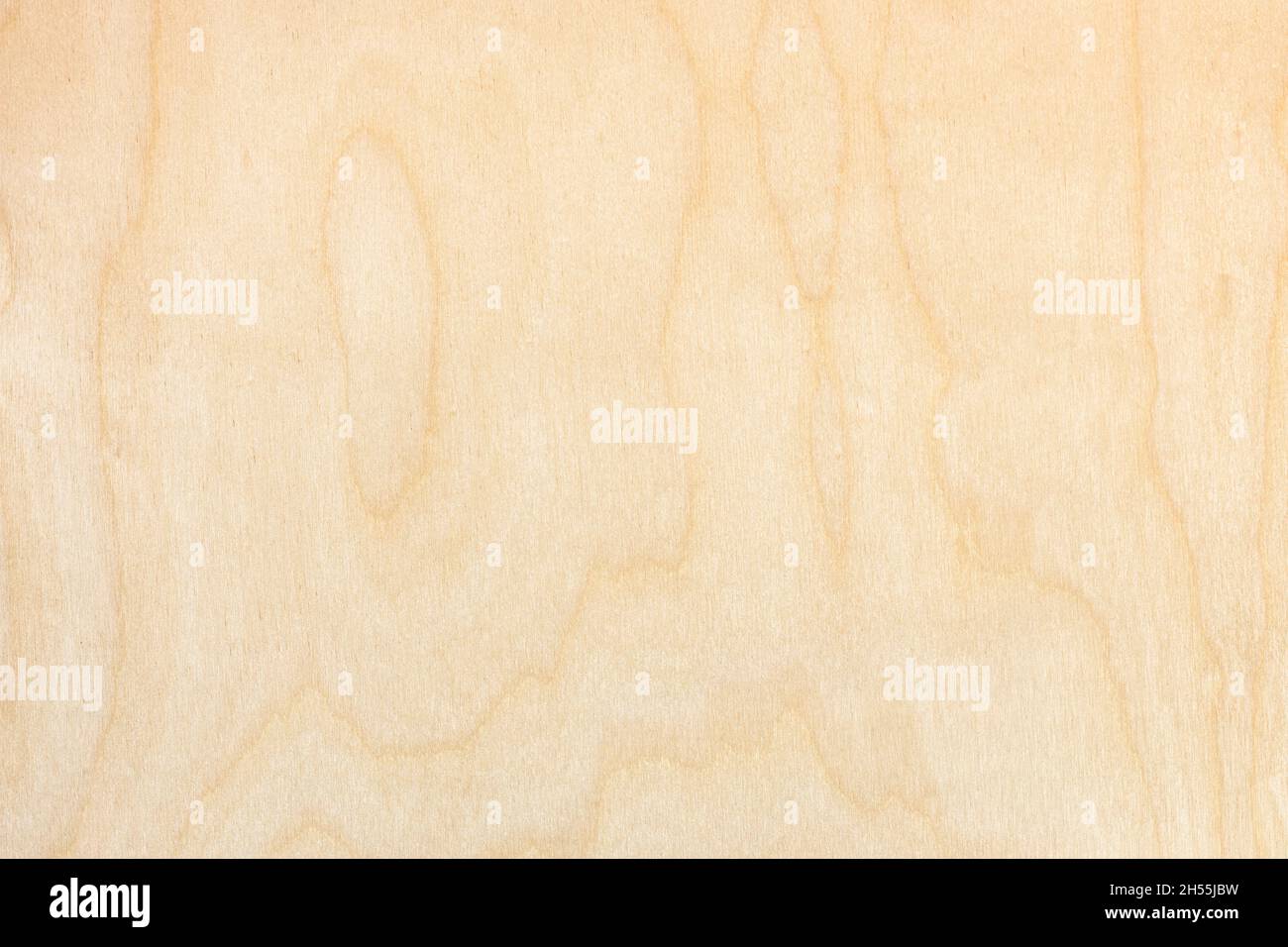 natural wooden surface of clean finished birch plywood sheet Stock ...
