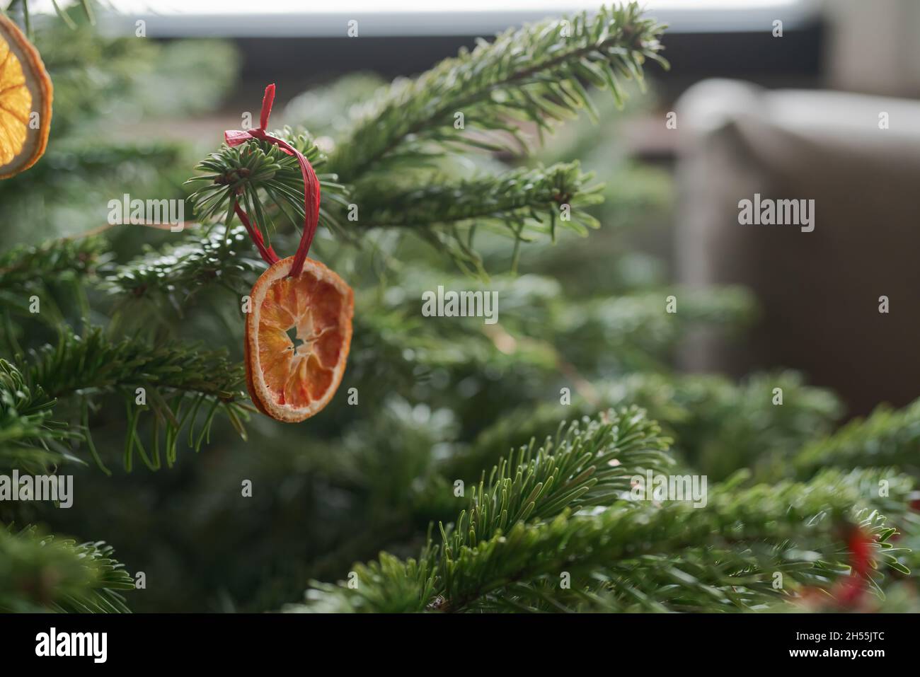 Closeup small christmas tree with dried oranges as decorations for ...