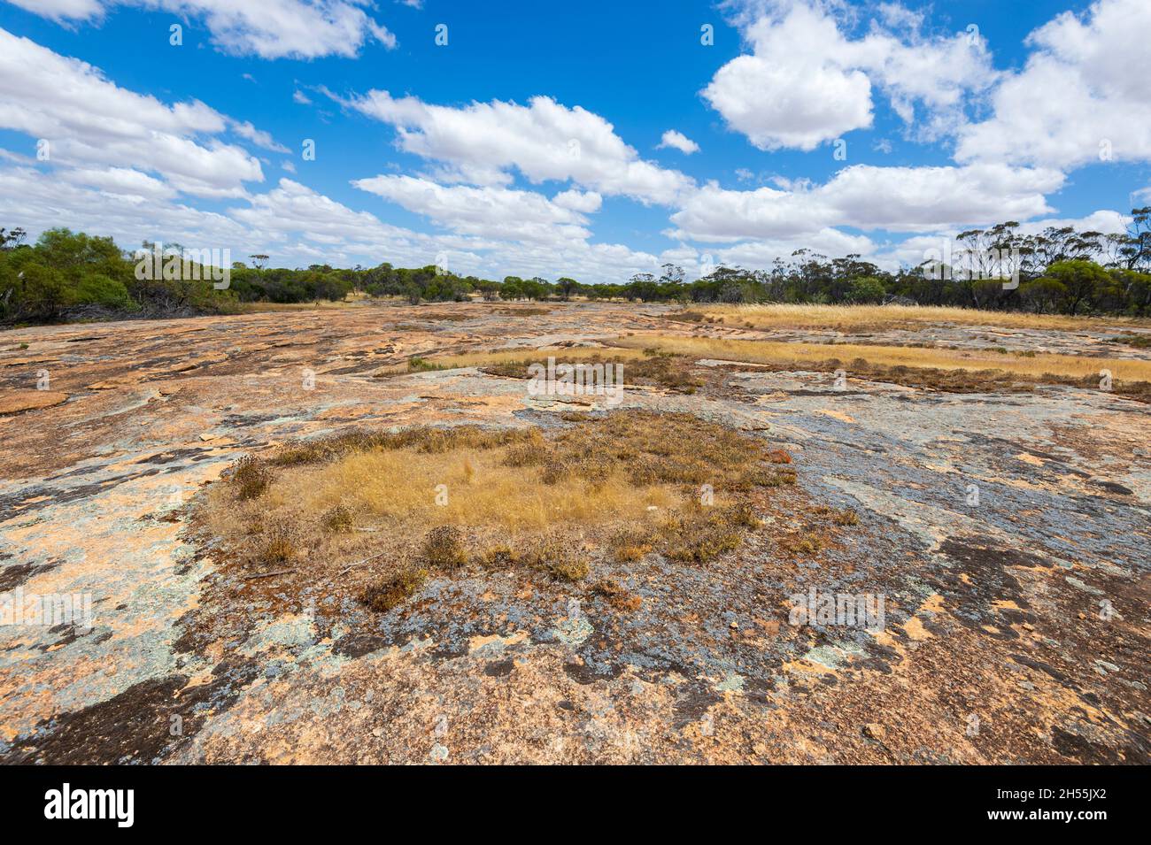 Scenic view of Totadgin Rock, an inselberg or an island mountain, a ...