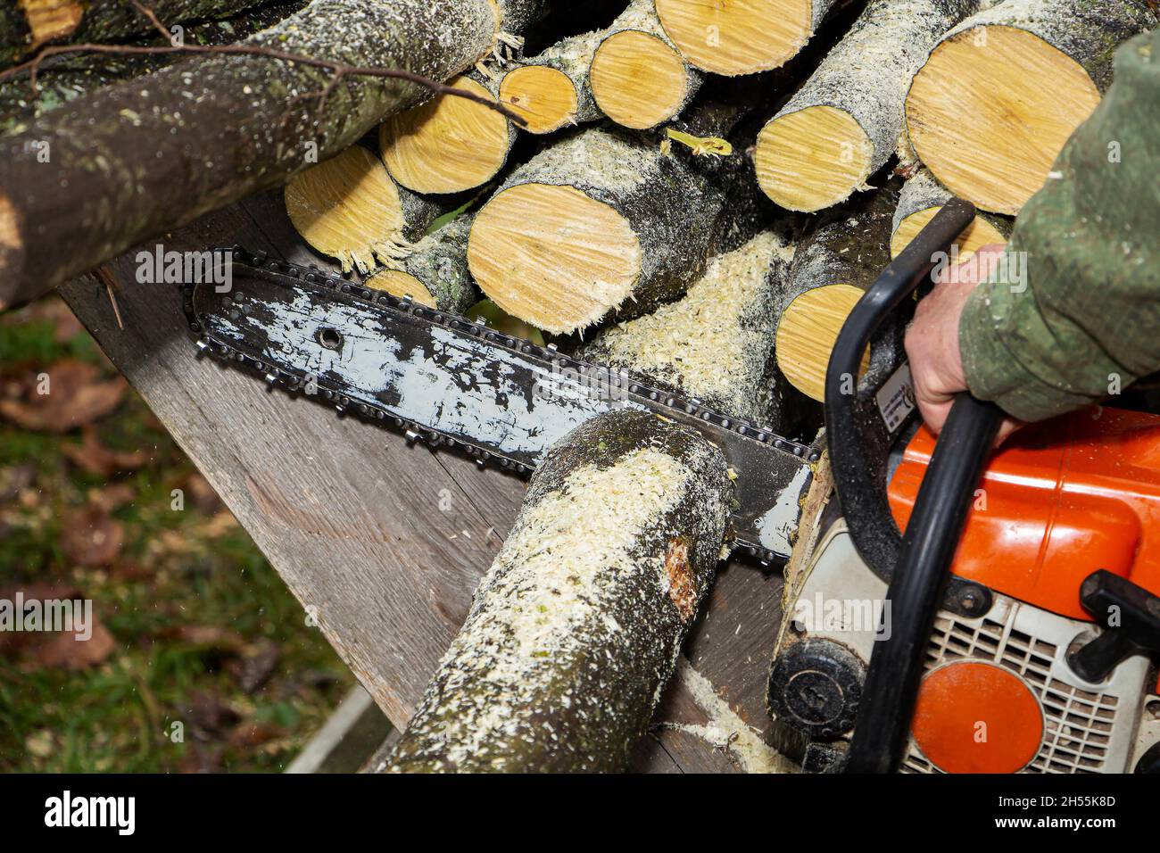 Close-up professional chainsaw blade cutting log of wood Stock Photo ...