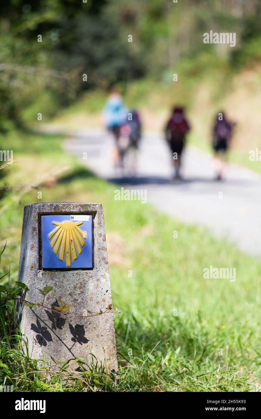 A yellow scallop shell signing the way to santiago de compostela on the ...