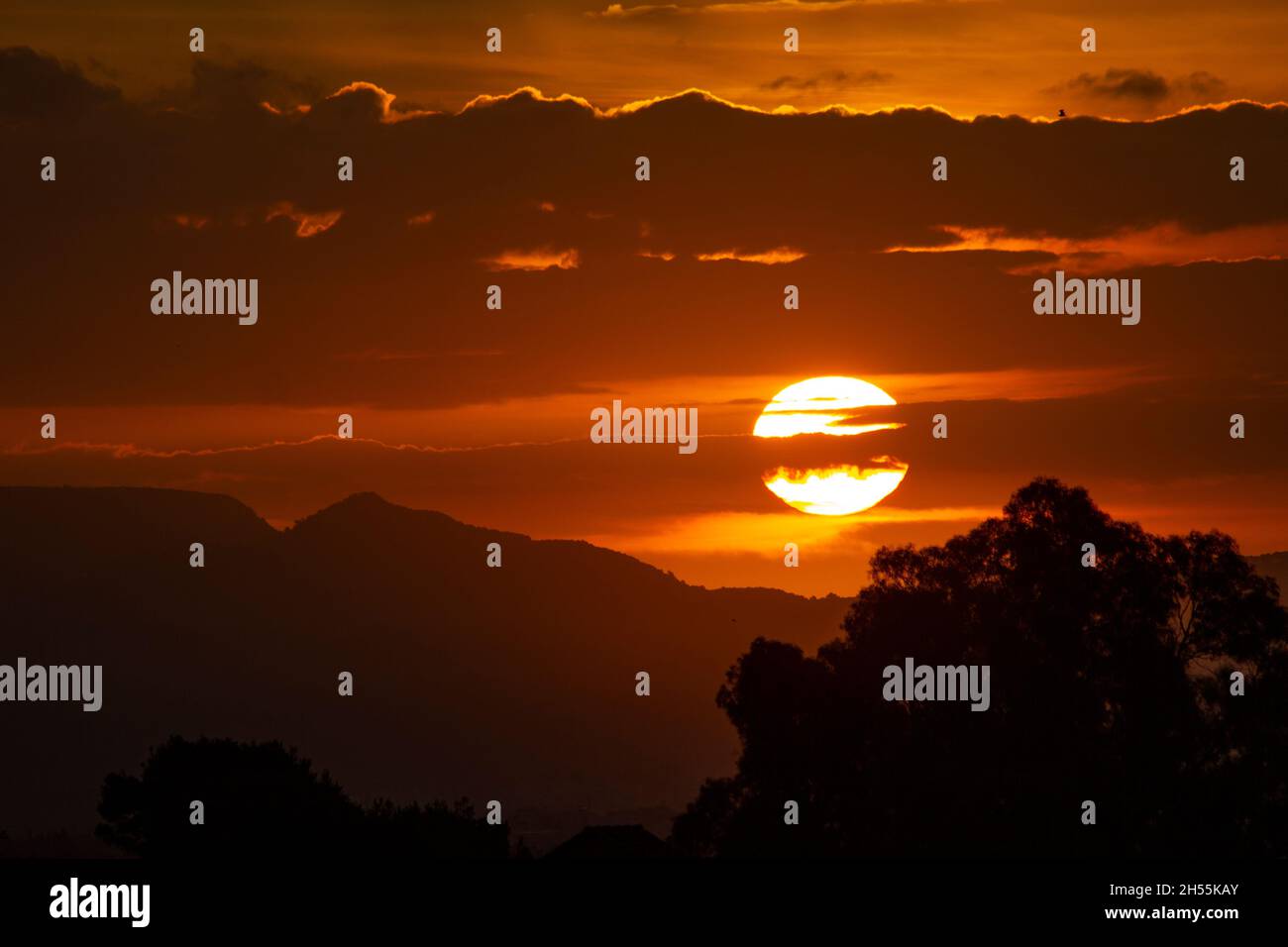 Fire red dawn sky forest hi-res stock photography and images - Alamy