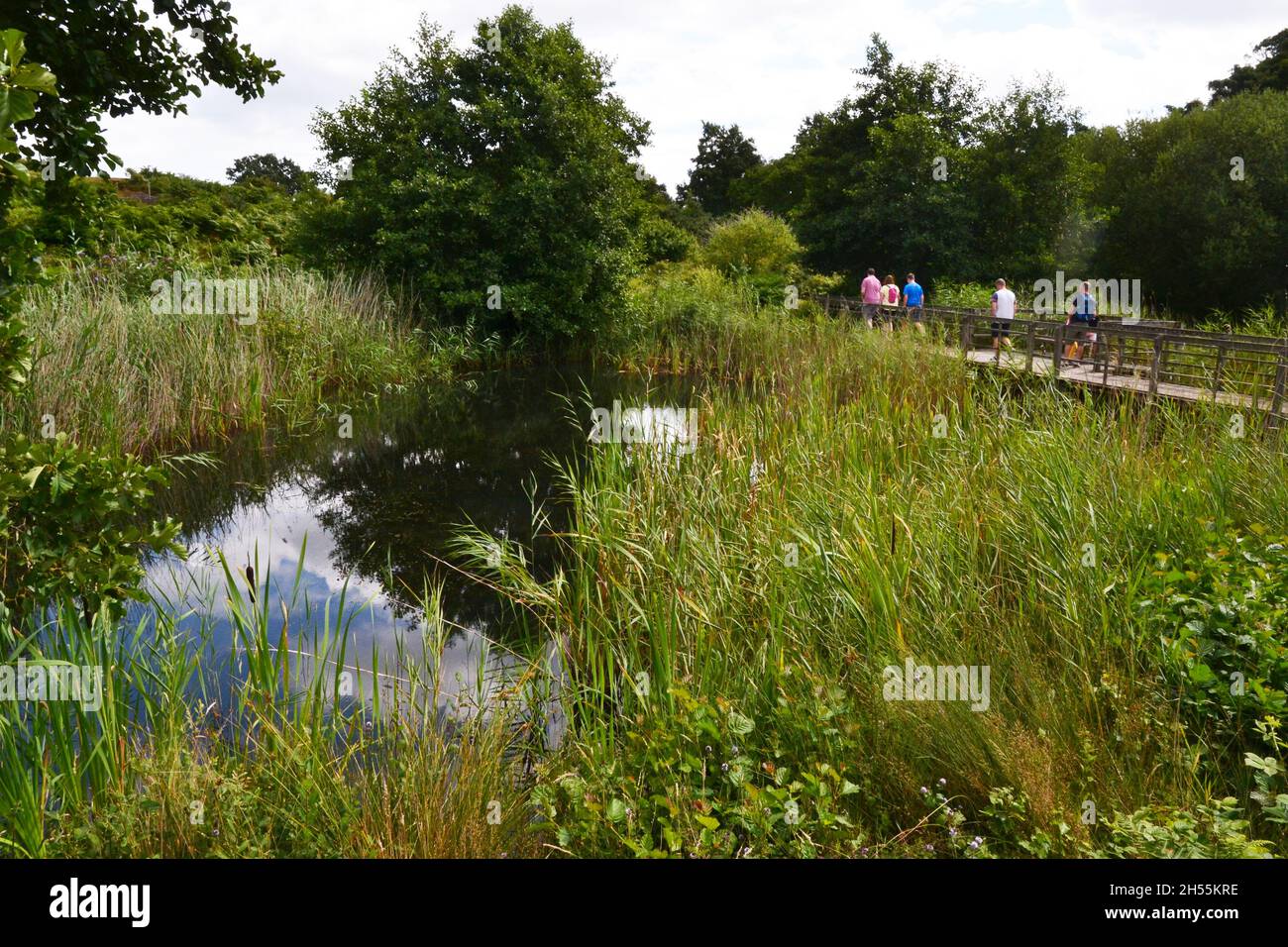 Minsmere, the rspb nature reserve hi-res stock photography and images ...