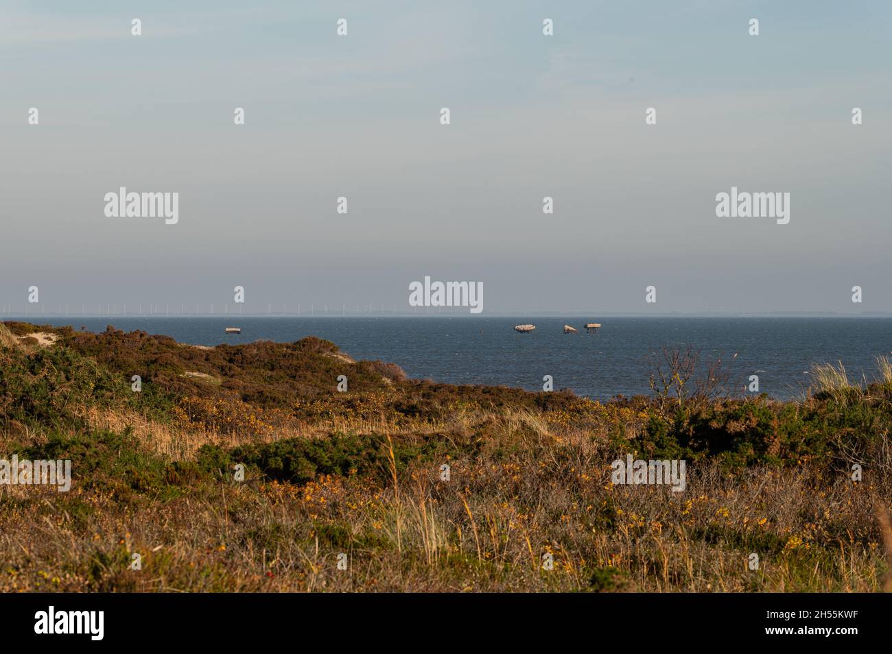 Dune landscape on the North Sea island of Sylt Stock Photo - Alamy