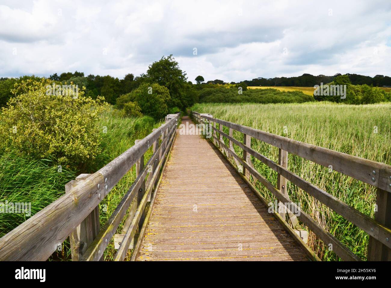 RSPB Minsmere Nature Reserve, Suffolk, UK Stock Photo - Alamy