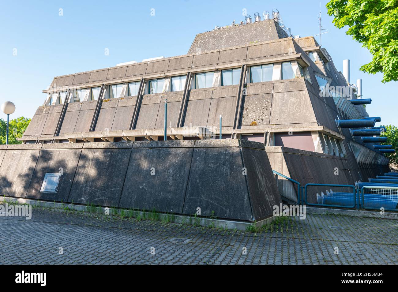 Animal testing laboratory of the Charite Berlin Stock Photo - Alamy