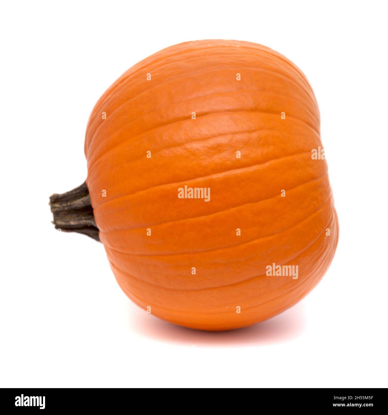 Round orange pumpkin isolated on white background Stock Photo - Alamy