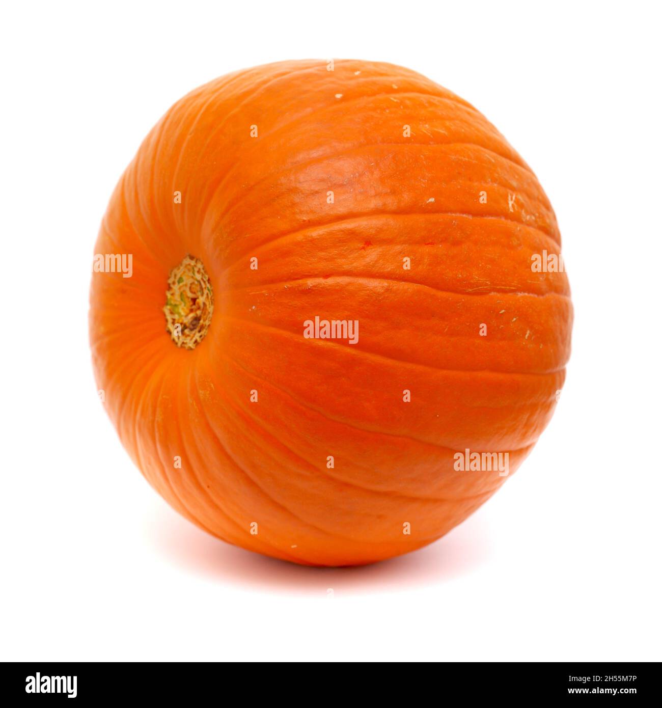 Round orange pumpkin isolated on white background Stock Photo - Alamy